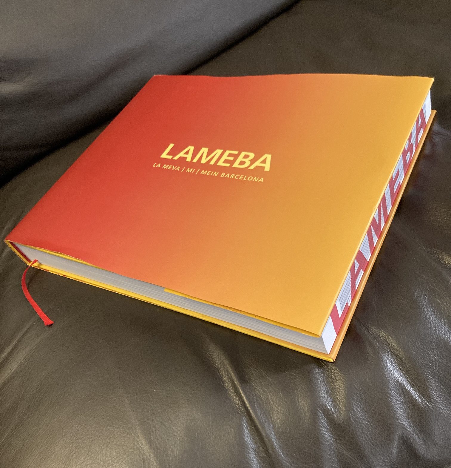 LAMEBA: Un libro de lectura sobre una ciudad cosmopolita - Taschenspiegel